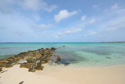 Things to do with kids in Aruba 2026